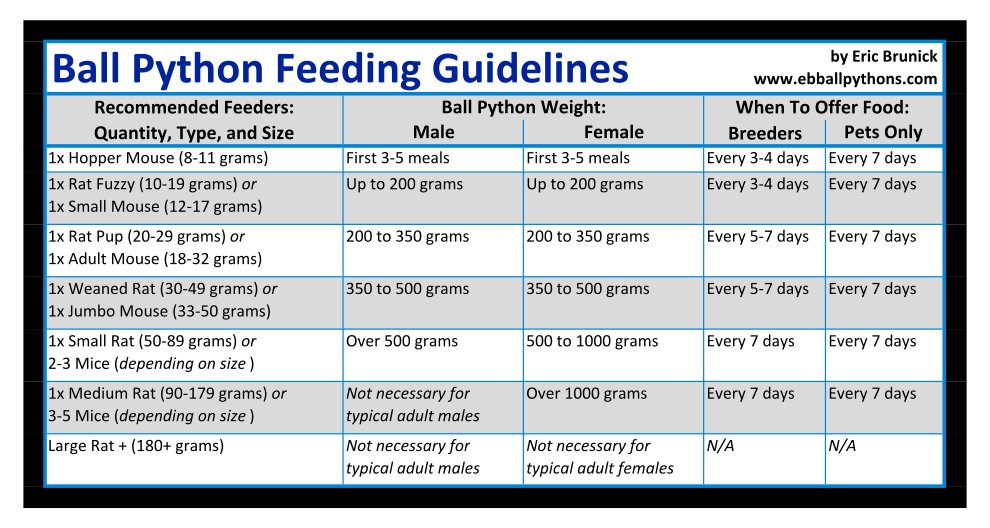 Monitoring Ball Python Weight: Guidelines