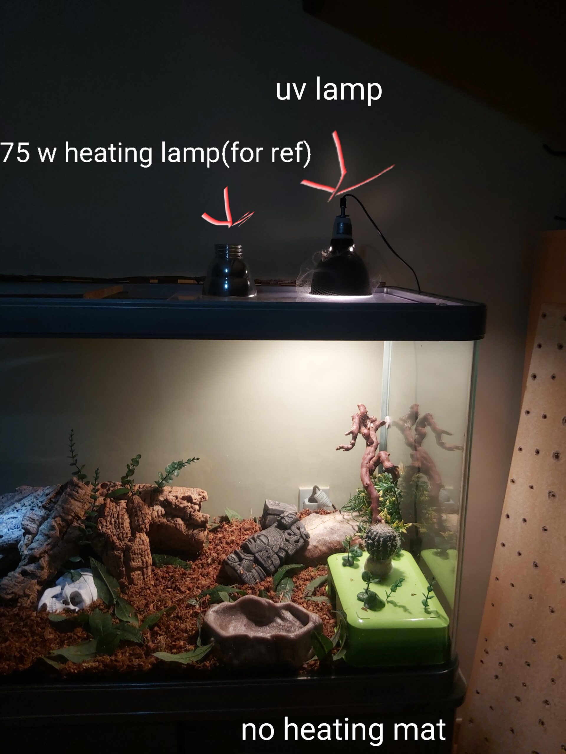 Using Heat Lamps for Ball Python Enclosures